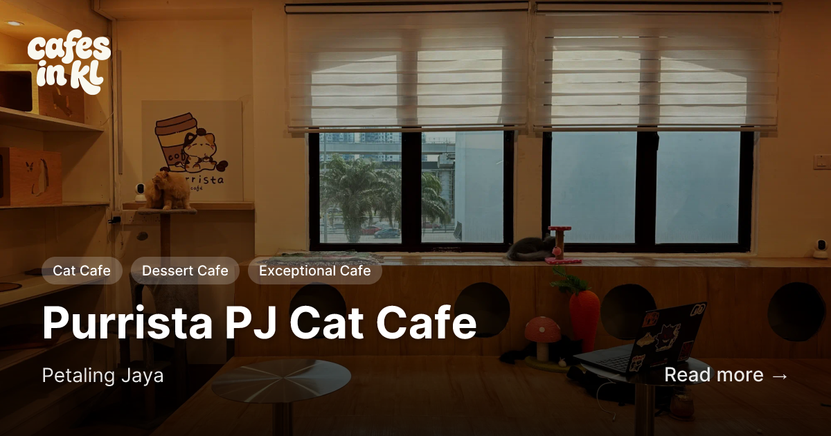 Purrista PJ Cat Cafe in Petaling Jaya | Cafes in KL